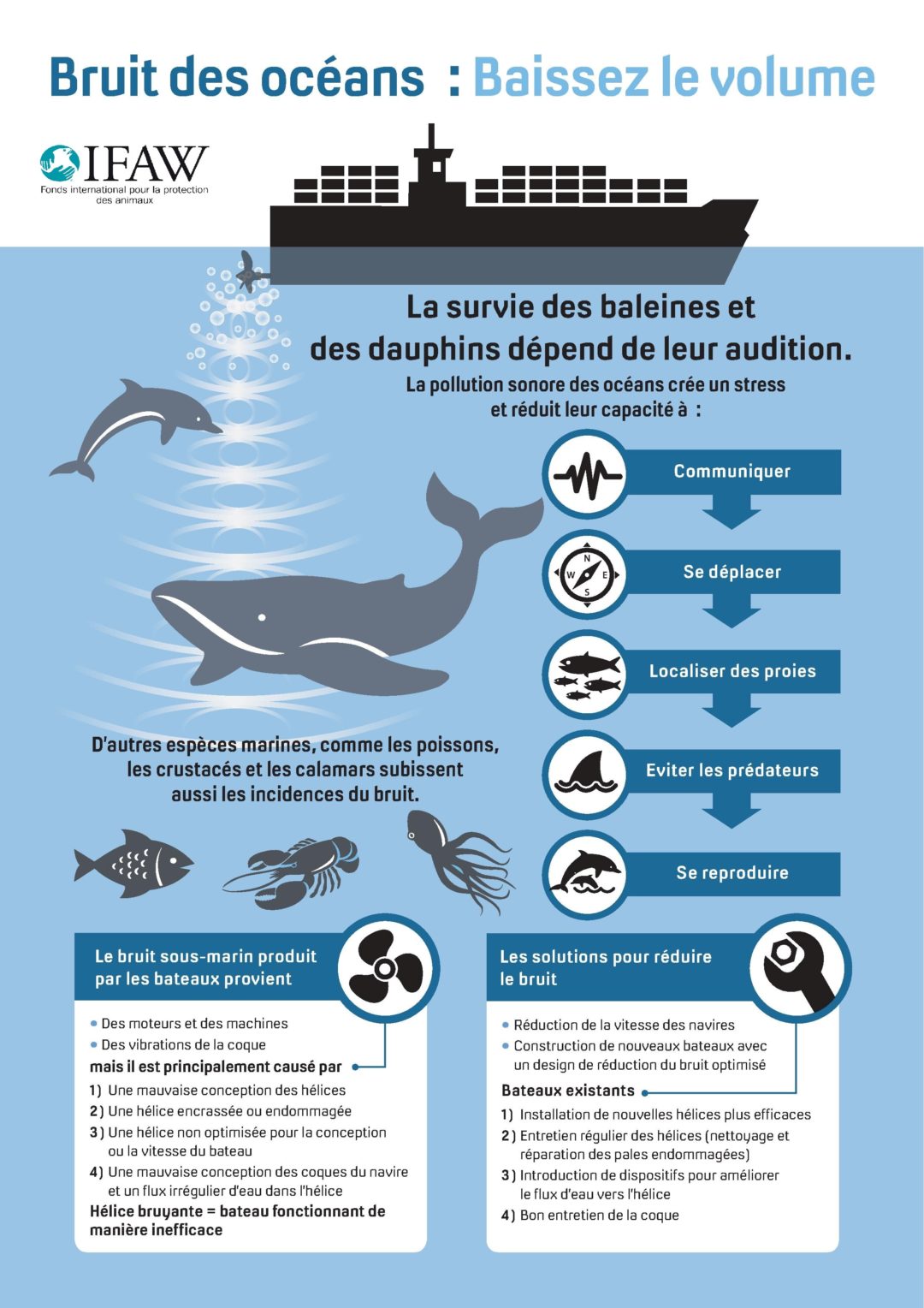 R83 : La pollution sonore des océans, par Céline Sissler-Bienvenu ...