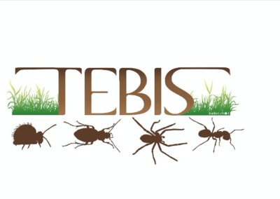 Traits Écologiques et Biologiques des organIsmes du Sol - sfecologie.org