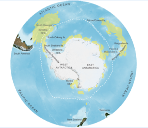 R94 : Les prédateurs marins, écoindicateurs de l'Océan austral, par Yan ...